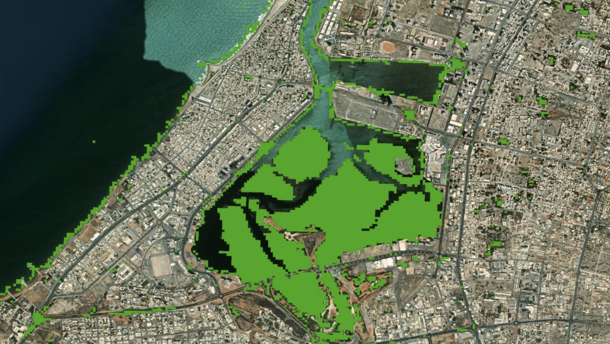 Mapping the Growth of Mangrove Forests in the United Arab Emirates from ...
